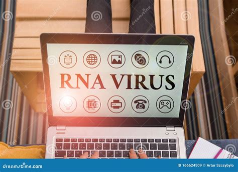 Word Writing Text Rna Virus Business Concept For A Virus Genetic Information Is Stored In The