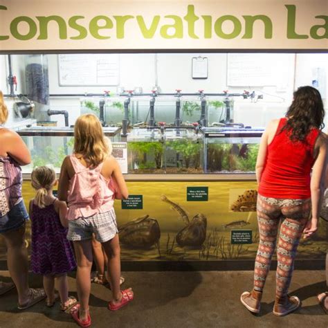 conservation lab and project piaba national mississippi river museum