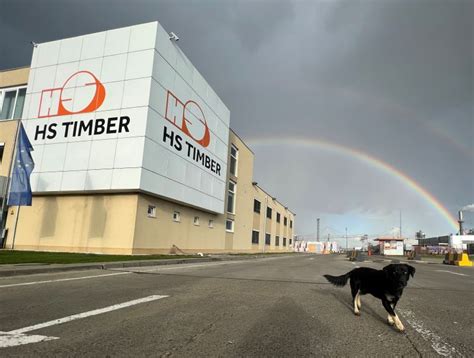 Hstimbergroup Perfectionintimber Animalsofhs Hs Timber Group