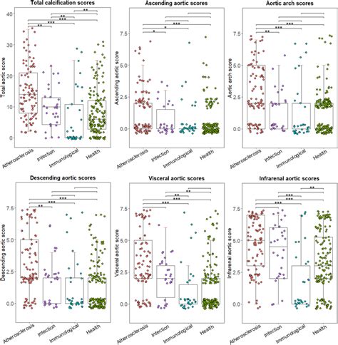 Calcification Score Of Different Aortic Parts The Calcification Score
