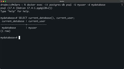 Postgresql In Docker A Step By Step Guide For Beginners Datacamp
