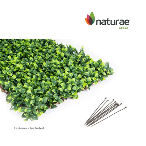 Expandable Pvc Trellis Gardenia At Loyd Honore Blog