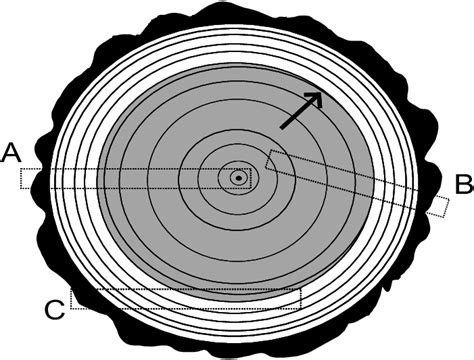 Placement Of A An Increment Core That Includes All Elements Of