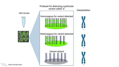 Chapter 7 Microarray Data Choosing Genomics Tools