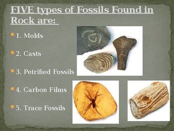 Fossil Notes PowerPoint By EZY Teaching TPT