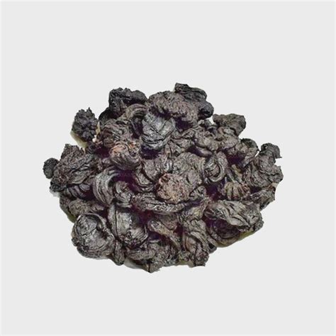 Ceylon Goraka Rinds Authentic Sri Lankan Souring Agent Etsy