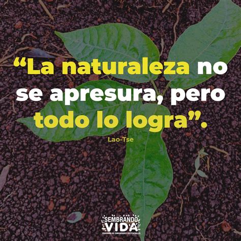 Sembrado Vida Sembrado Vida Macuspana Jalapa Y Centro