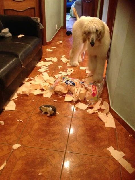 Uh Oh Wait Till Mom Gets Home