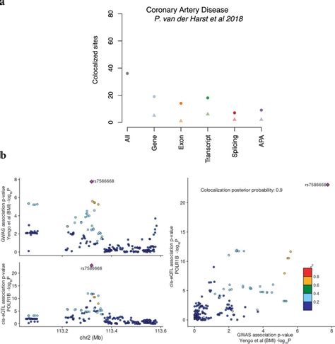 Additional Results From The Colocalization Analysis Of Eqtl And Gwas