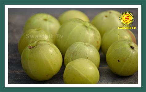 ஏழைகளின் ஆப்பிள் எனக்கூறும் நெல்லிக்கனியின் மருத்துவ பயன்கள் அறிவோம்