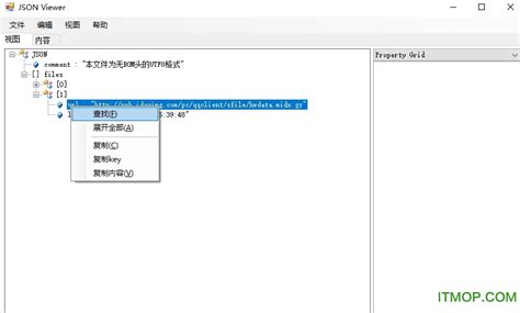 Json数据可视化格式化工具下载 Json Viewer汉化中文版下载 V110 绿色版 It猫扑网