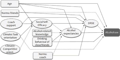 Hypothesized Model Solid Lines Represent Presumed Positive Path Download Scientific Diagram