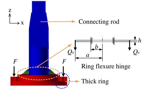 The Section Of Elastic Recovery Mechanism Download Scientific Diagram