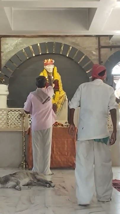 Aarti Sai Baba Panchavati Sai Mandir Dog Sing Sai Aarti Shorts