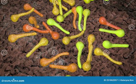 Clostridium Tetani Bacteria Stock Illustration Illustration Of Anaerobes Bacterium 251862057