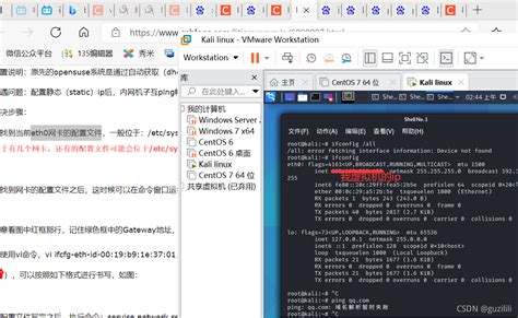 kalilinux网络配置ping失败问题 kali域名解析暂时失败的原因 csdn博客