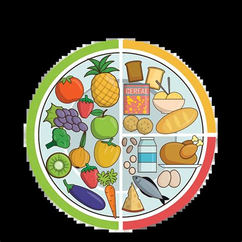 均衡膳食 花瓣网