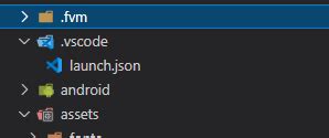 Dart Flutter FVM Vscode Settings Json Is Gone Stack Overflow