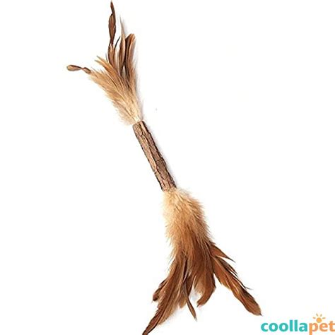 Kitten Teething Catnip Wand Toys For All Ages Cats B057 D