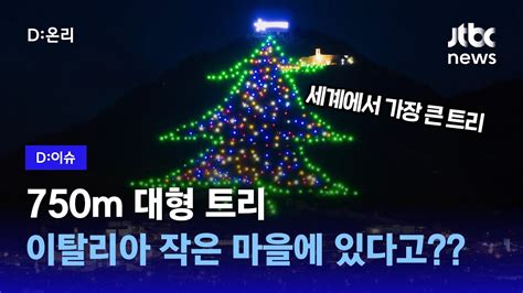 산비탈에 눕혀진 세계에서 가장 큰 크리스마스 트리 높은 트리 모음집｜d이슈 Youtube