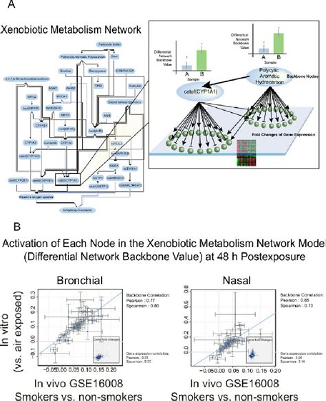 Network Based Systems Biology Approach For The Impact Assessment Of Cs Download Scientific