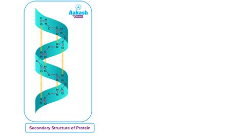 Revisiting Protein Definition Classification Source Importance Test For Proteins