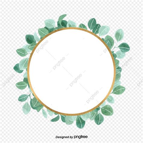 간단하고 신선한 테두리가있는 둥근 유칼립투스 일러스트 잎 유칼립투스 클립 아트 잎 꼬리 날개 Png 일러스트 및 Psd 이미지 무료 다운로드 Pngtree