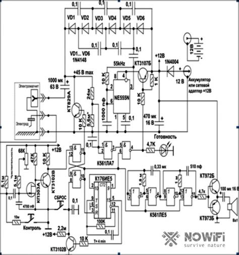 Мышеловка своими руками: как сделать и что нужно для нее