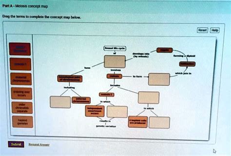 solved part a meiosis concept map drag the terms plete the