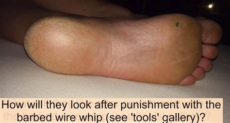 Fake My Wife S Pics To Illustrate Your Fantasy Soft Or Hard Porn