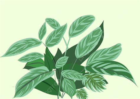 Tropical Grass Vector Hd Images Vector Map Of Tropical Grass Leaves