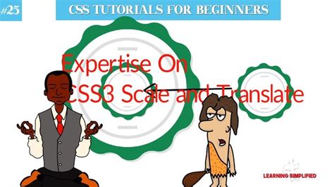 learn css3 transform properties scale and translate 2d animation part ii