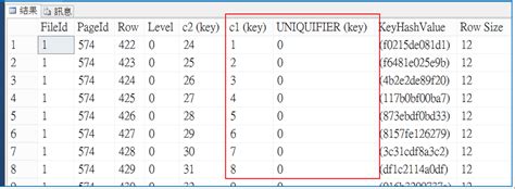 SQL Worker SQL SERVER的索引鍵查閱key lookup