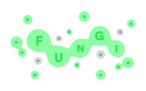 Fungigame Web Ios Android Moddb