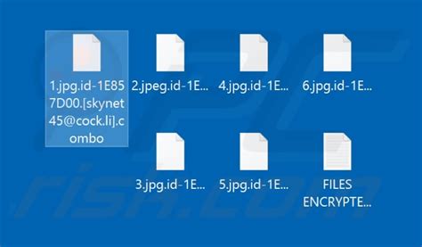 Combo Ransomware Decryption Removal And Lost Files Recovery Updated