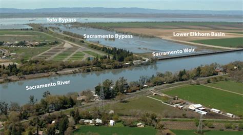 Lower Elkhorn Basin Levee Setback Project