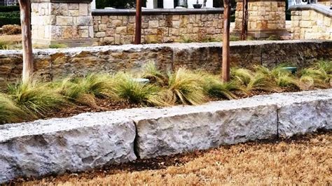 What Is Plant Dormancy Tips On Caring For Dormant Plants