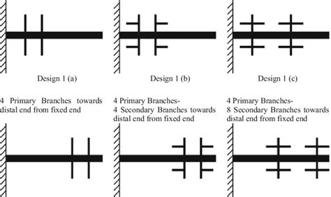 Designs Of Secondary Branches Primary Branches Constant In Number As 4 Download Scientific