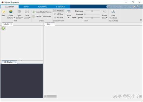 MATLAB图像处理 使用 Volume Segmenter 创建二进制蒙版