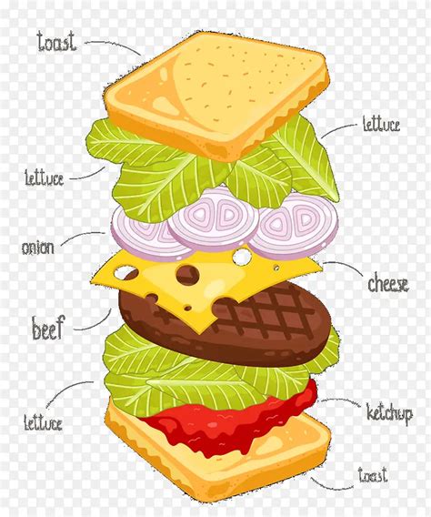 汉堡分解图png图片素材下载 图片编号9134961 Png素材网