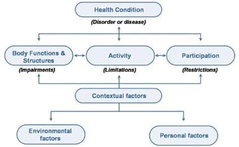 Icf International Classification Of Functioning [6] Download