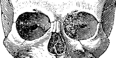 Forensic Taphonomy Content Tag Forensic Taphonomy Content Tag