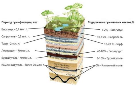 Самодельная питательная подложка для аквариума своими руками!
