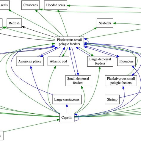 Figure 4 Example Of Predicted Interactions With The Network Of The