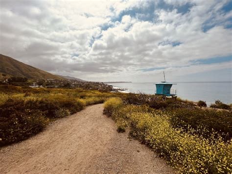 La여행 캘리포니아 바닷가 구경좀 합니다 말리부 Mlbpark