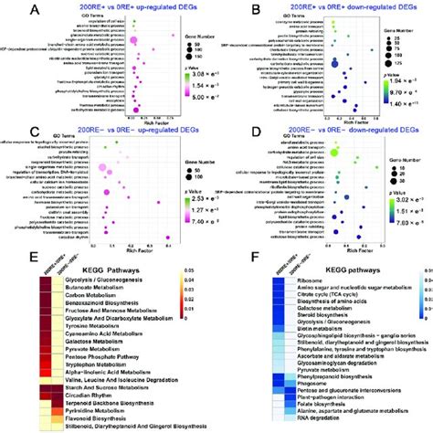 go terms and kegg pathway enrichment analysis based on the nacl induced