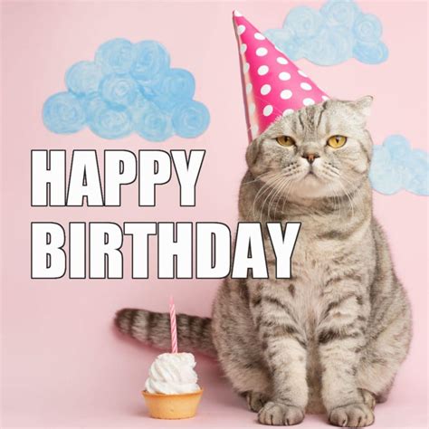 Happy Birthday Imgur Heres Some Memes Jcdat