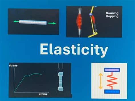 Elasticity In Physics And Engineering By Physics And Chemistry Unbound