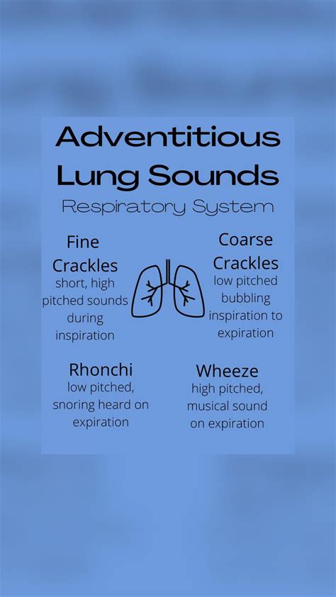Coarse Vs Crackles Lung Sounds Types Of Lung Noises Pviwa