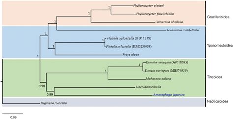 Bayesian Inference Bi Method Based Phylogenetic Tree For Three Download Scientific Diagram
